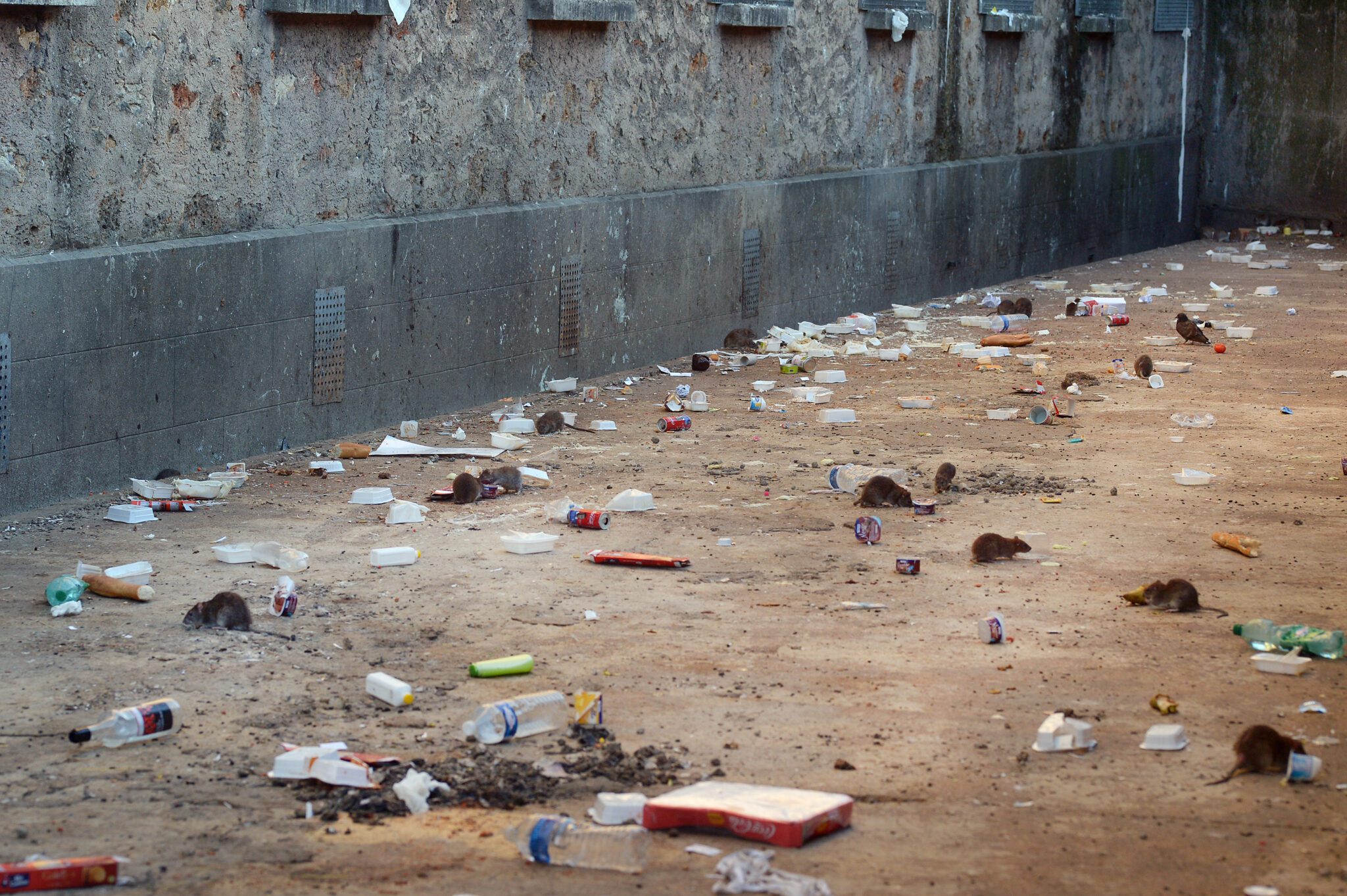 La Justice condamne la prison de Baie-Mahault pour ses conditions d ...