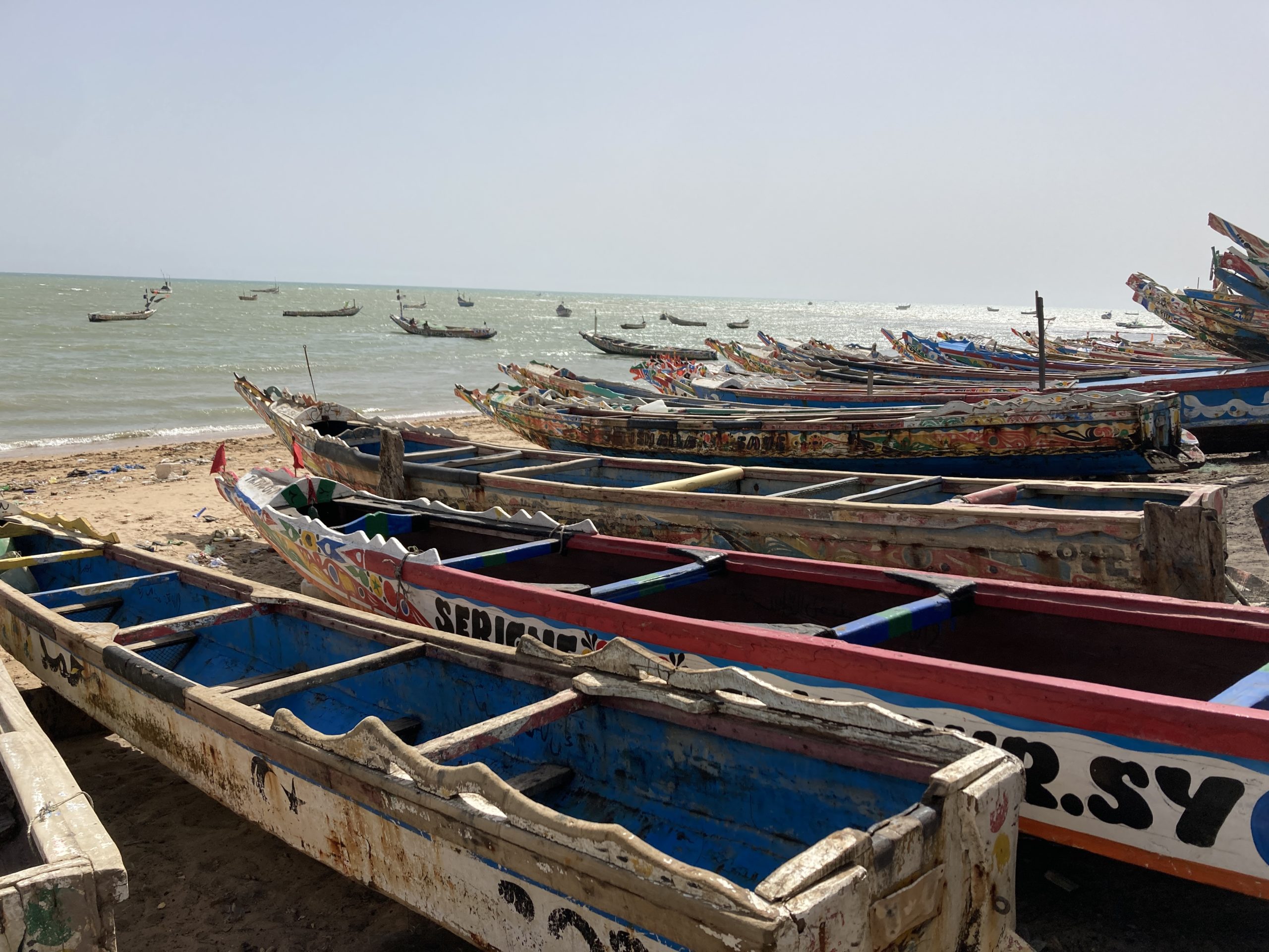 Sénégal : un projet conjoint Cimade- REMIDEV « pour un meilleur respect ...